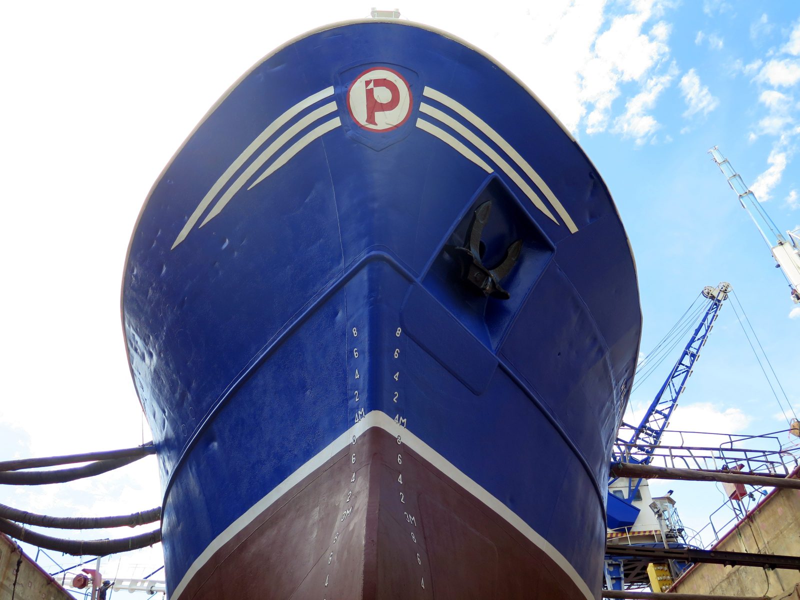 El Grupo Nueva Pescanova se integra en CEPESCA para ganar ...