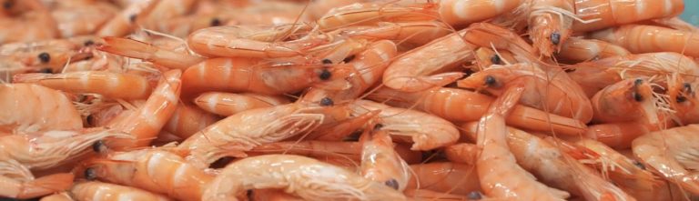 Elaboramos – Nueva Pescanova