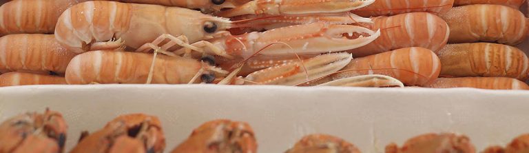 We process - Nueva Pescanova