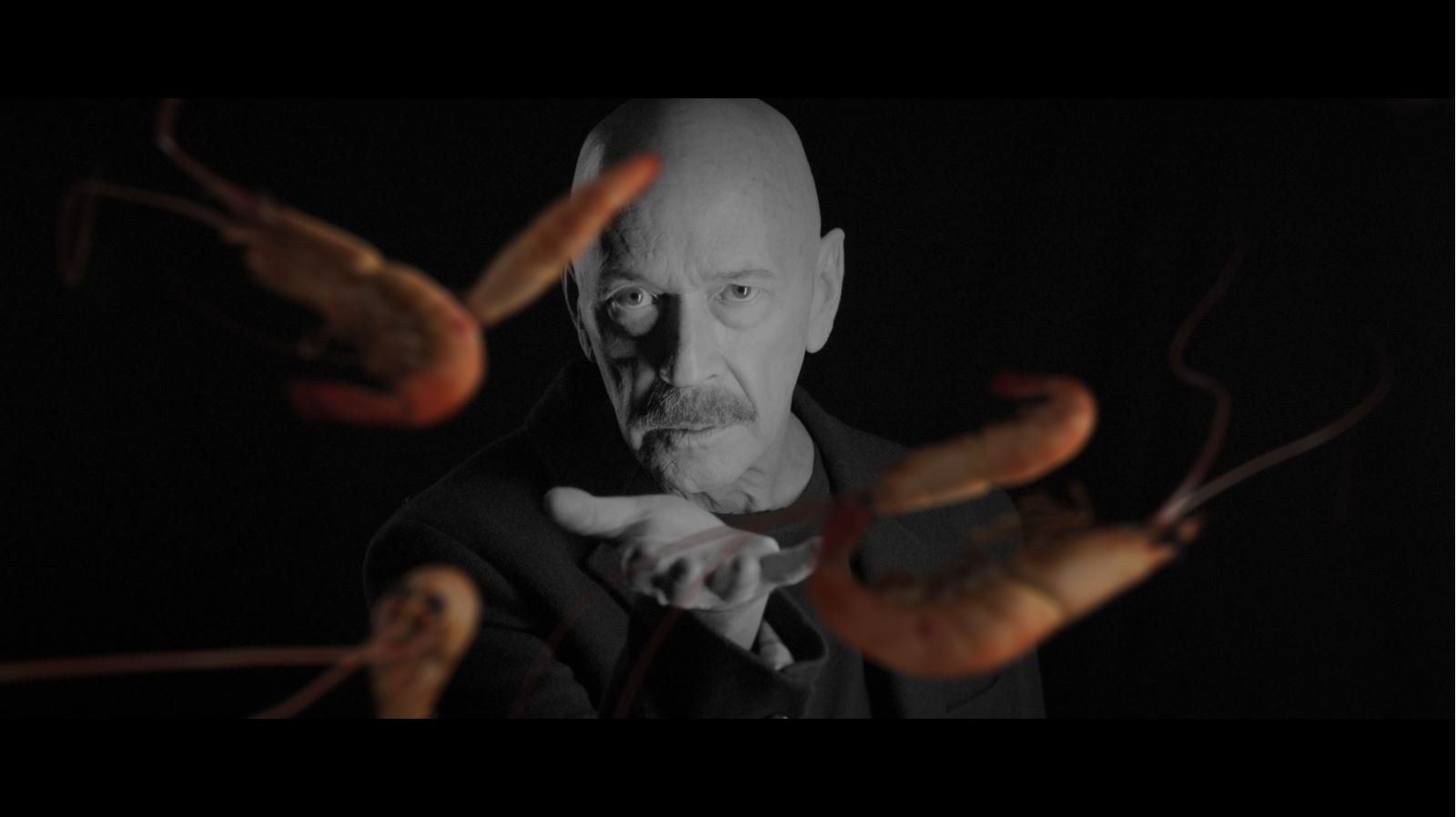 14 years later, the Christmas “Calvo” returns - Nueva Pescanova