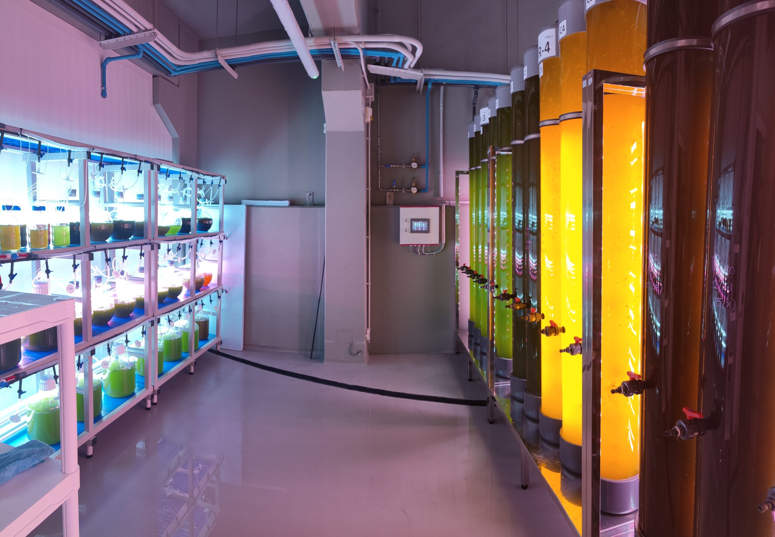 Microalgae room - Nueva Pescanova